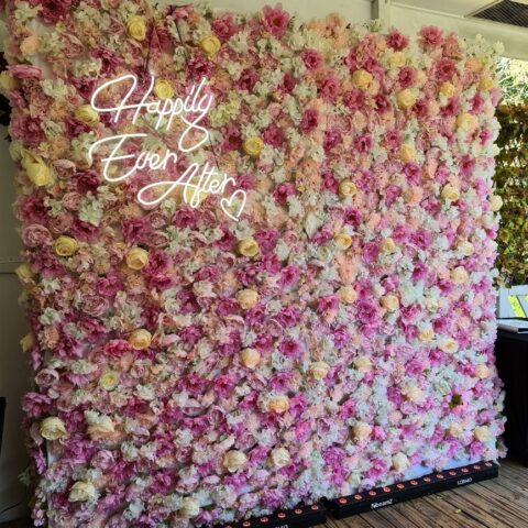 Backdrops - Snaptured